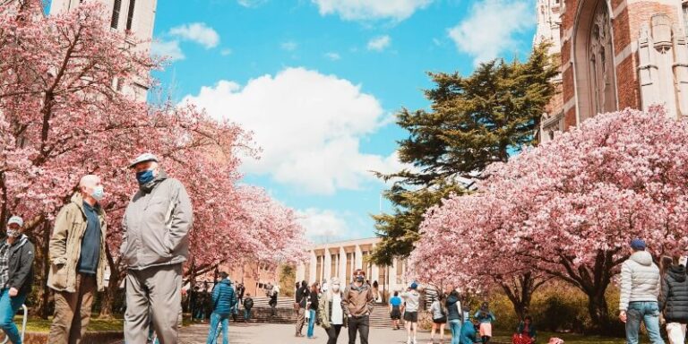 大学でeスポーツに挑戦！eスポーツができる偏差値が高い大学を解説 | eスポーツスクールAFRAS（アフラス）